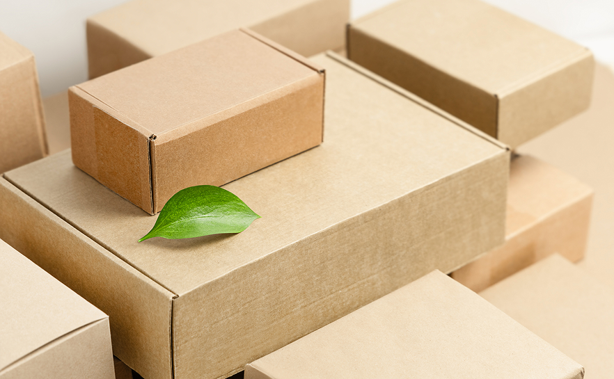 Going Eco Friendly with Your Food Packaging Needs – Packaging eStore